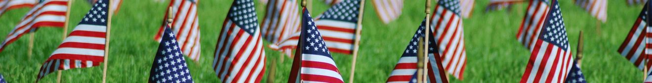 Bilateral VA Disability Rating & Compensation Calculator - MicroHealth